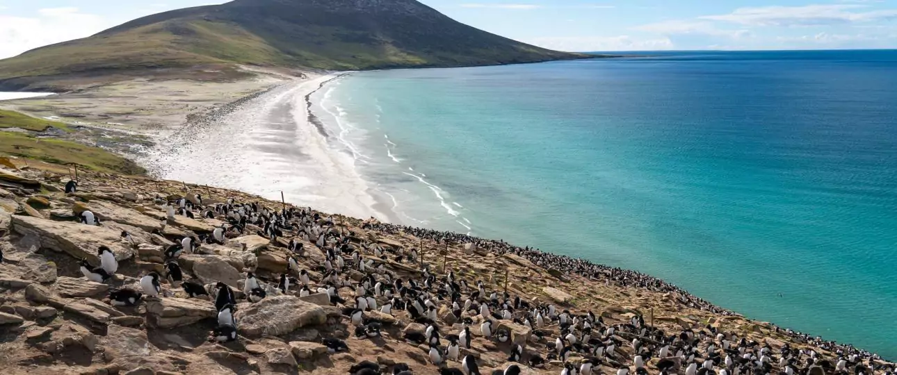 Bertha's Beach, Falkland Island - Things to do & Accommodation