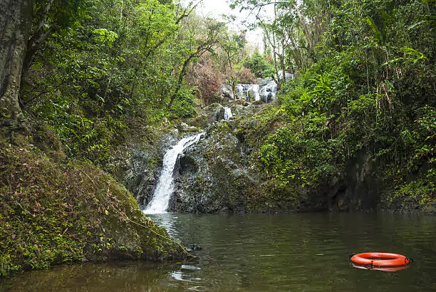Argyle Waterfall Trinidad And Tobago Attractions Things To Do argyle-waterfall-trinidad-and-tobago-attractions-things-to-do