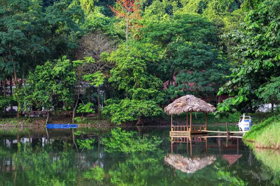 Cát Tiên National Park, Vietnam - Accommodation & Attractions